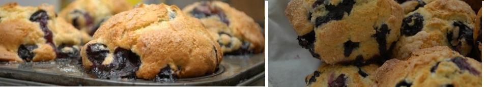 Dragon Biscuits | Recipes from the Cheney Kitchen
